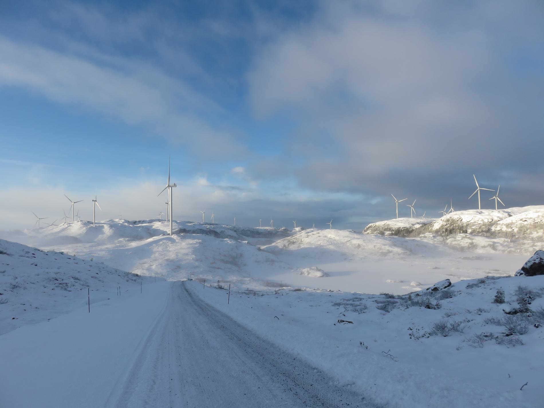 Trønderenergi og Hitecvision: Nytt energiselskap skal hete Aneo – E24 Trønderenergi og Hitecvision: Nytt energiselskap skal hete Aneo – E24