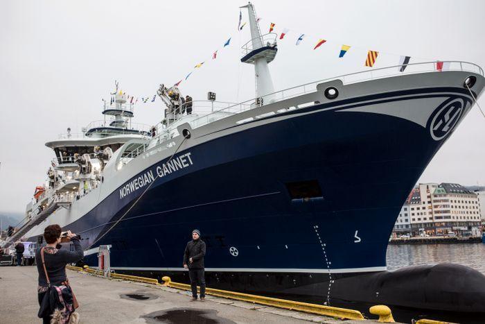 Staten anker «Norwegian Gannet»-dom – E24 Staten anker «Norwegian Gannet»-dom – E24